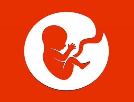 BitLife - Play BitLife Without Download